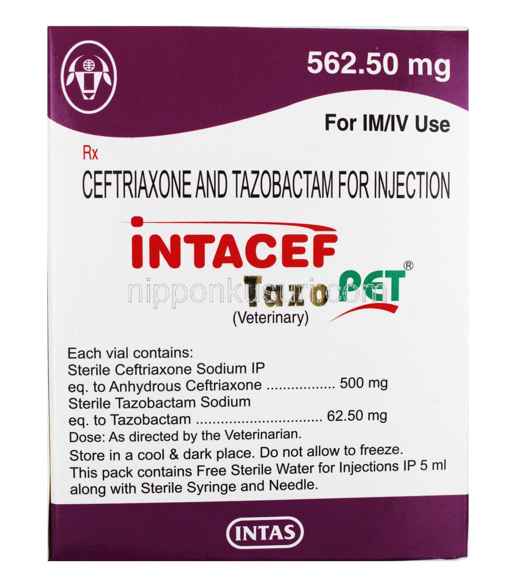 インタセフ 通販