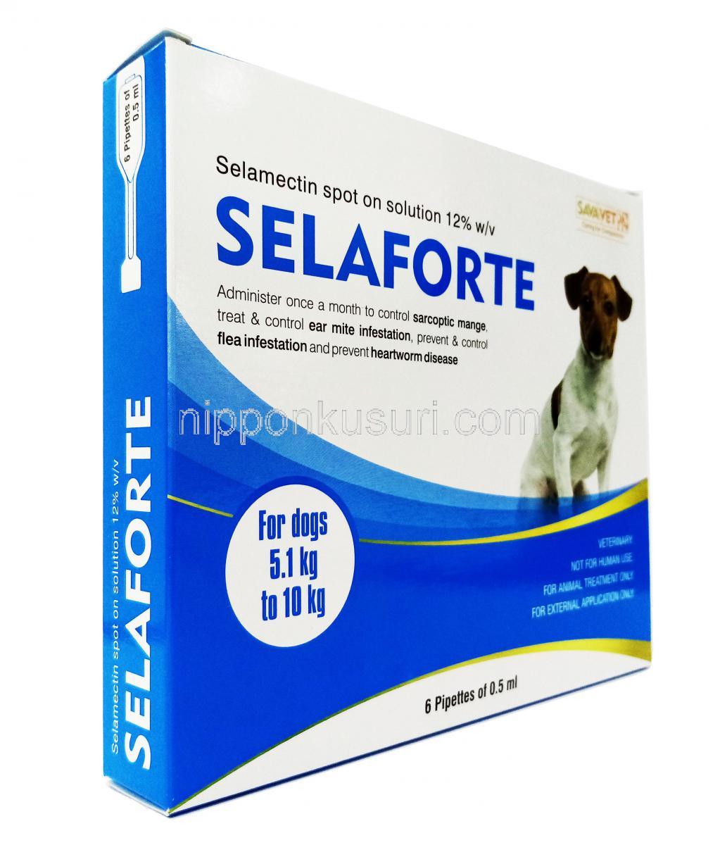 セラフォーテ 通販